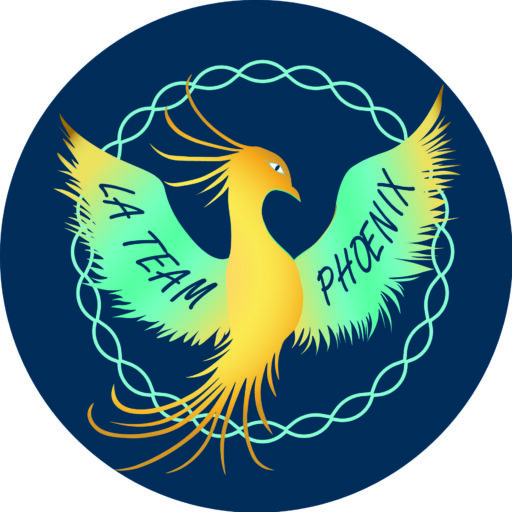 Les adhérents de la Team Phoenix dans le Var